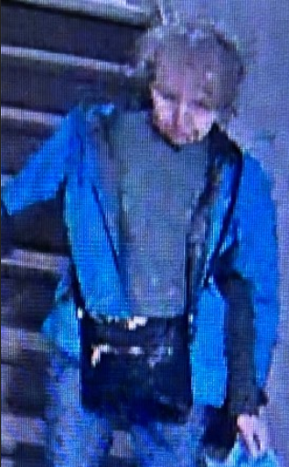 Missing Person in Toronto, Ontario - Diane, 58 - MissingPeople.ca