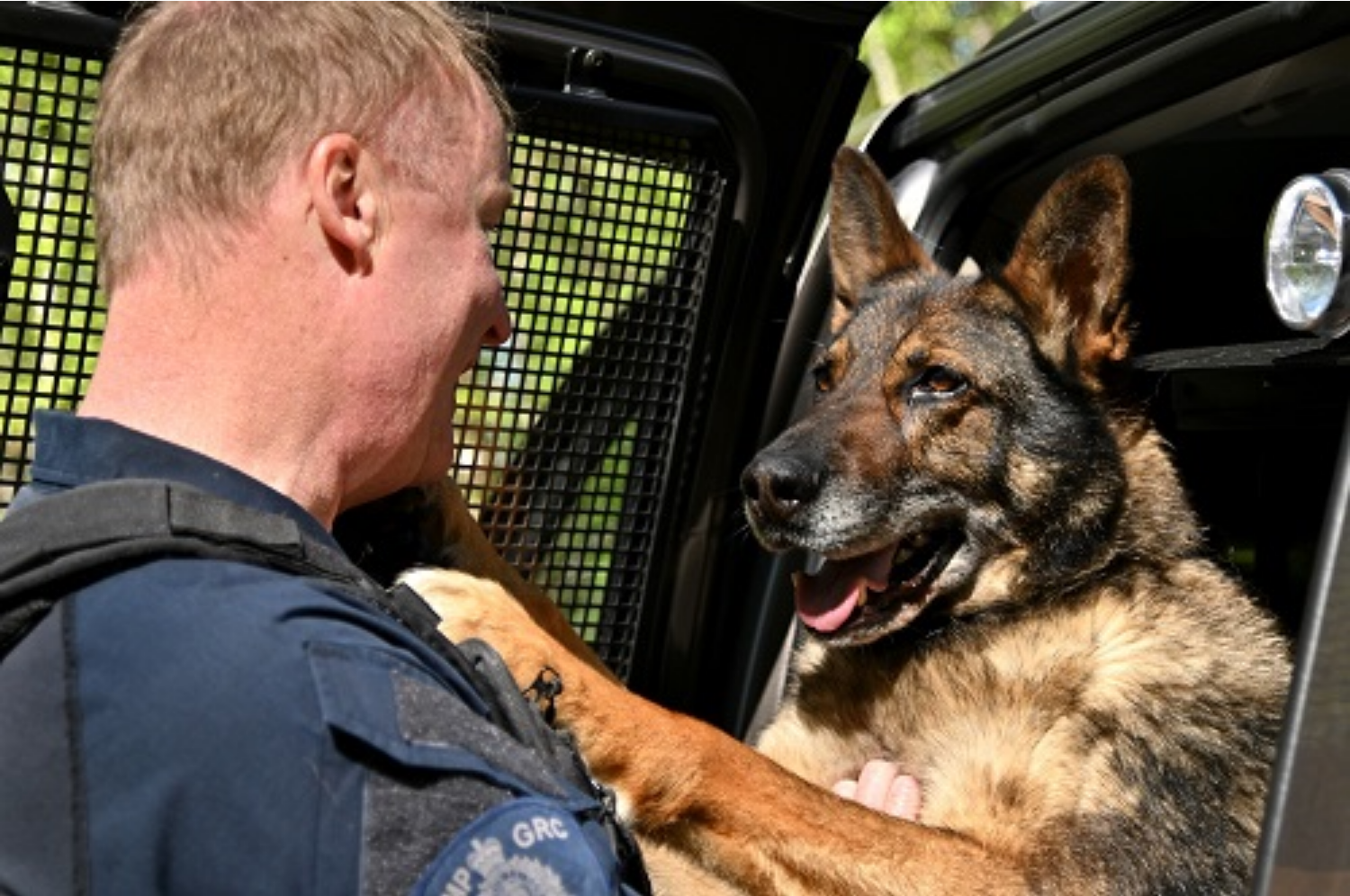 Eli the legend – one of the longest serving police service dogs in B.C ...